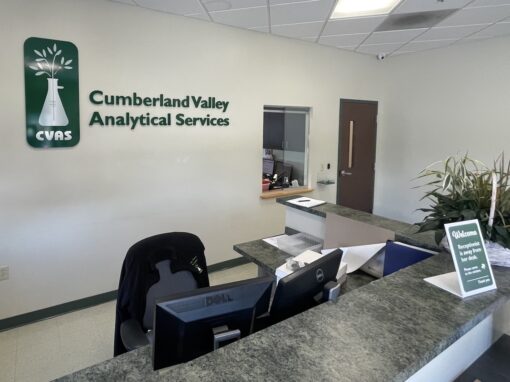 Effective Lobby Display Design & Implementation Guide